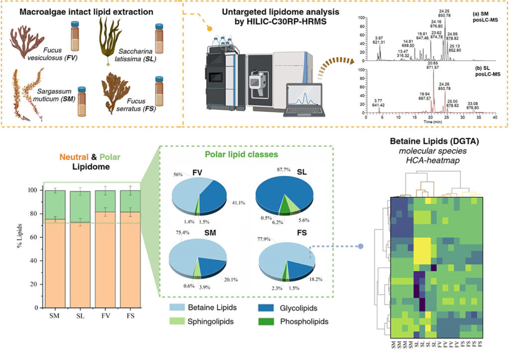 Unraveling the neutral and polar lipidome of Nordic brown macroalgae: A sustainable source of ...